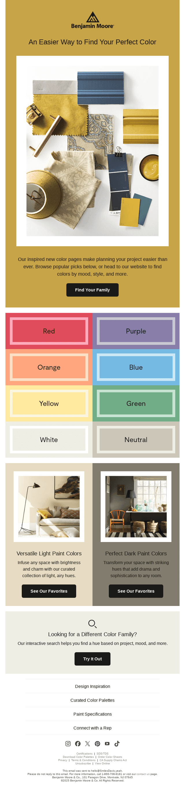 30 Best Promotional Email Examples and Designs